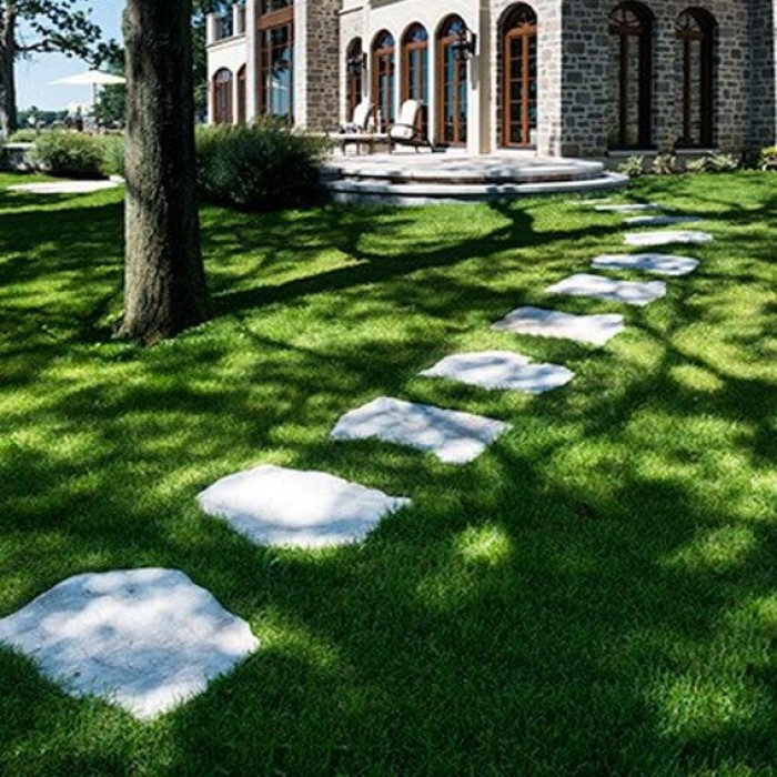 Dalle Maya - Faucher Botanix